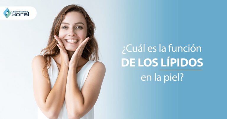 ¿QUÉ Son Los LÍPIDOS Y Cuál Es Su Función En La PIEL?